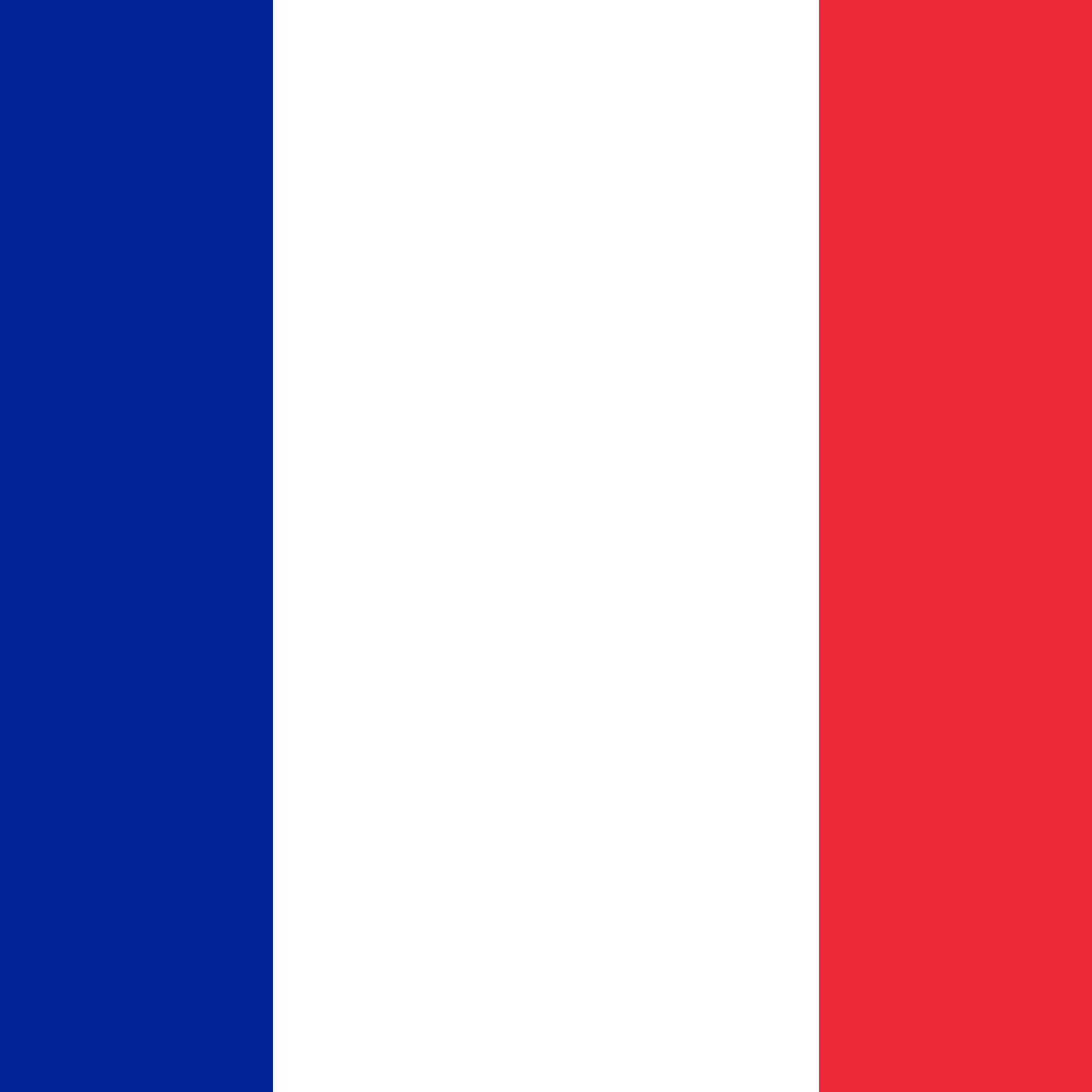 France Flag: Facts, History & Information | Bags of Flags