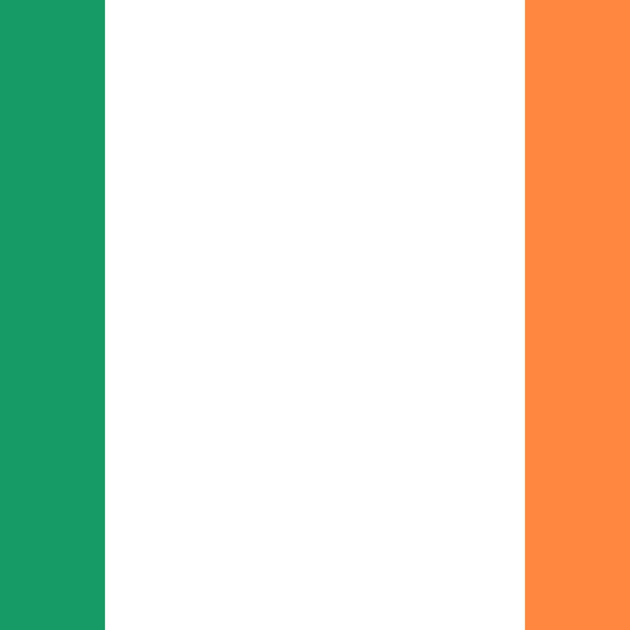 Ireland Flag: Facts, History & Information | Bags of Flags