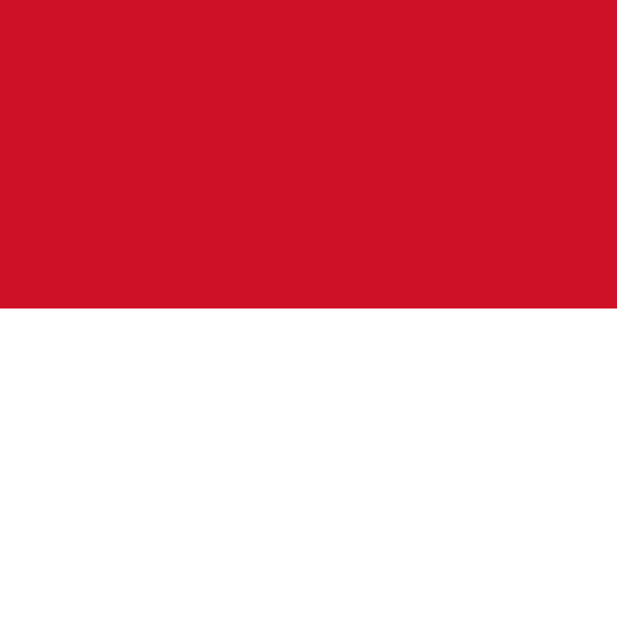Monaco Flag: Facts, History & Information | Bags of Flags