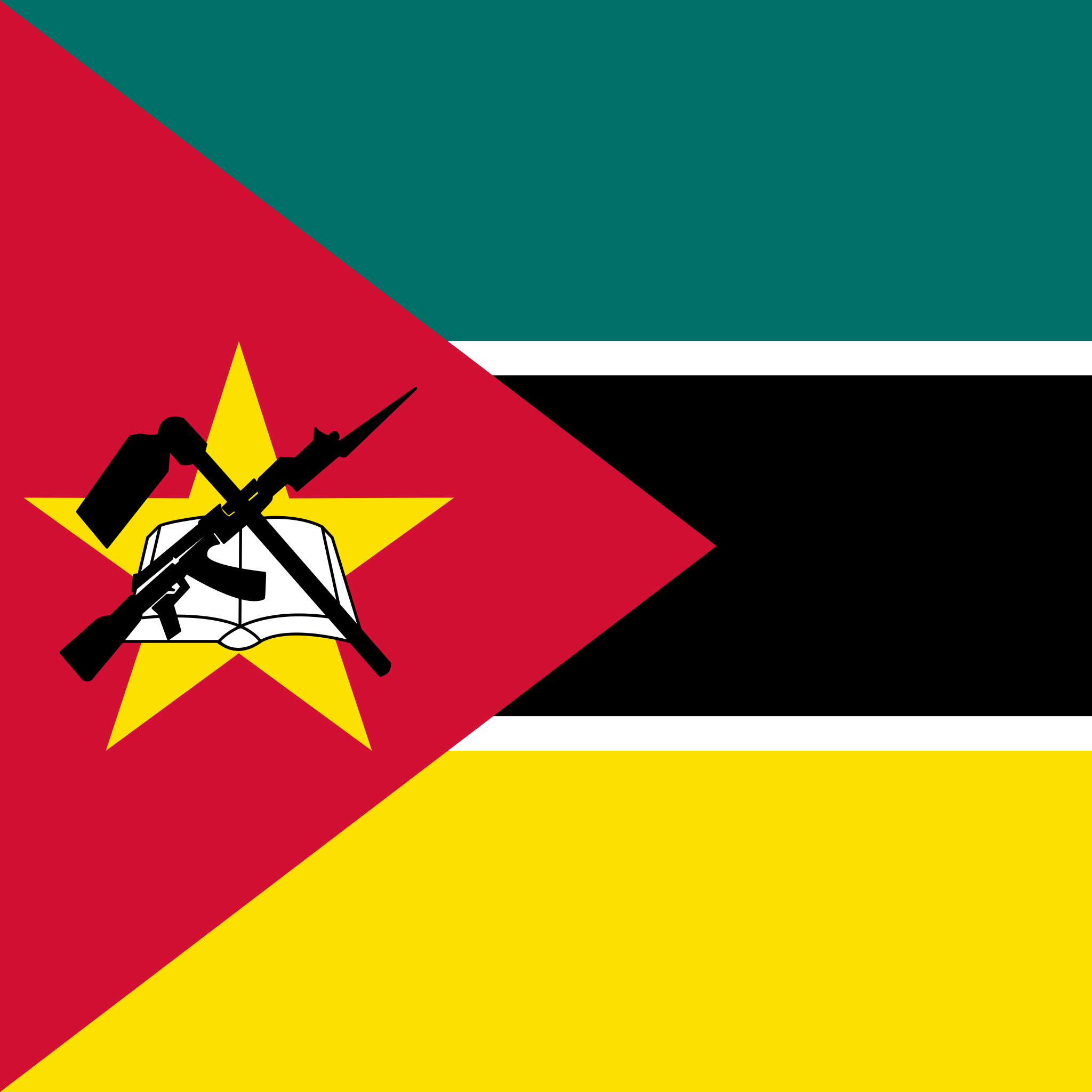 Mozambique Flag: Facts, History & Information | Bags of Flags