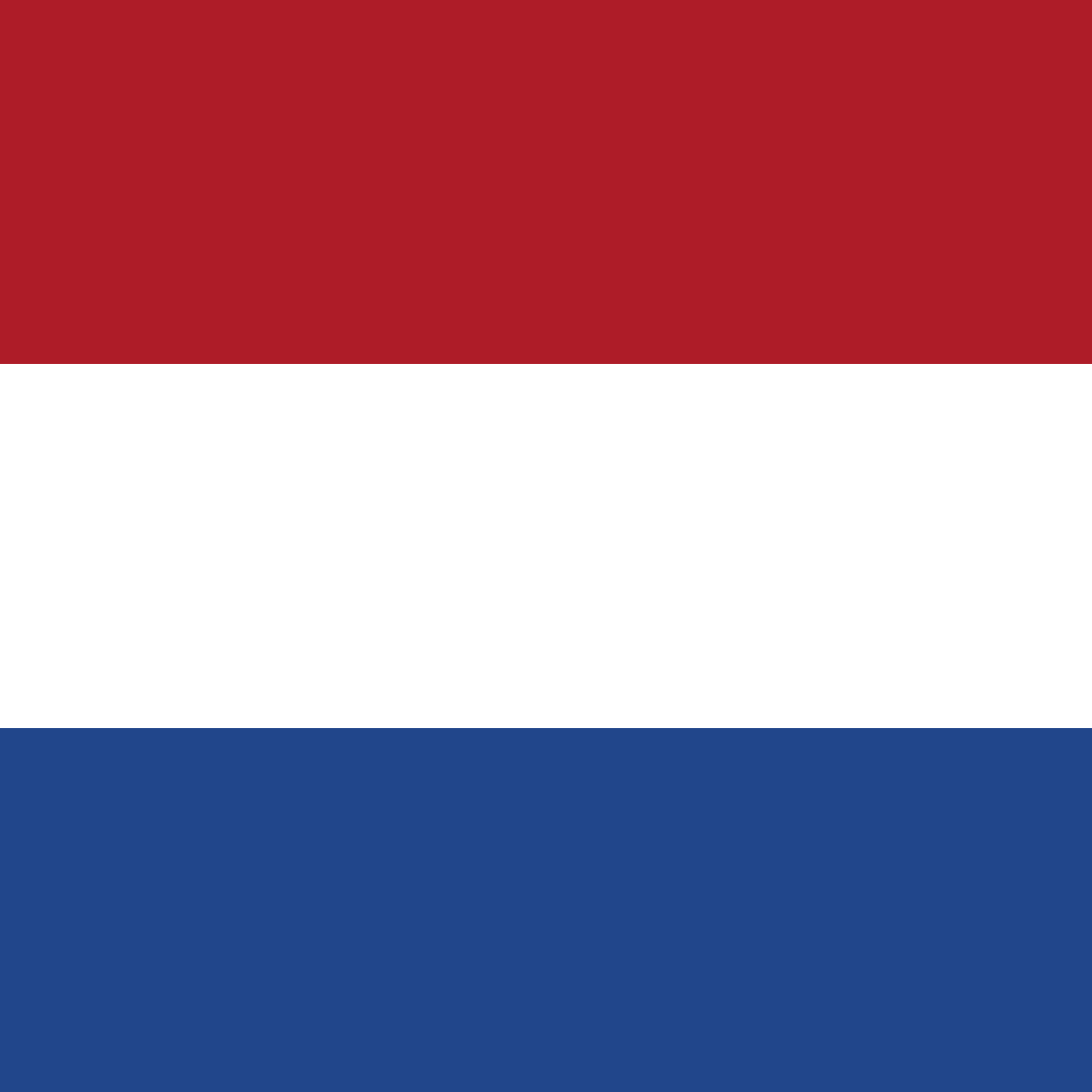 Netherlands Flag: Facts, History & Information | Bags of Flags