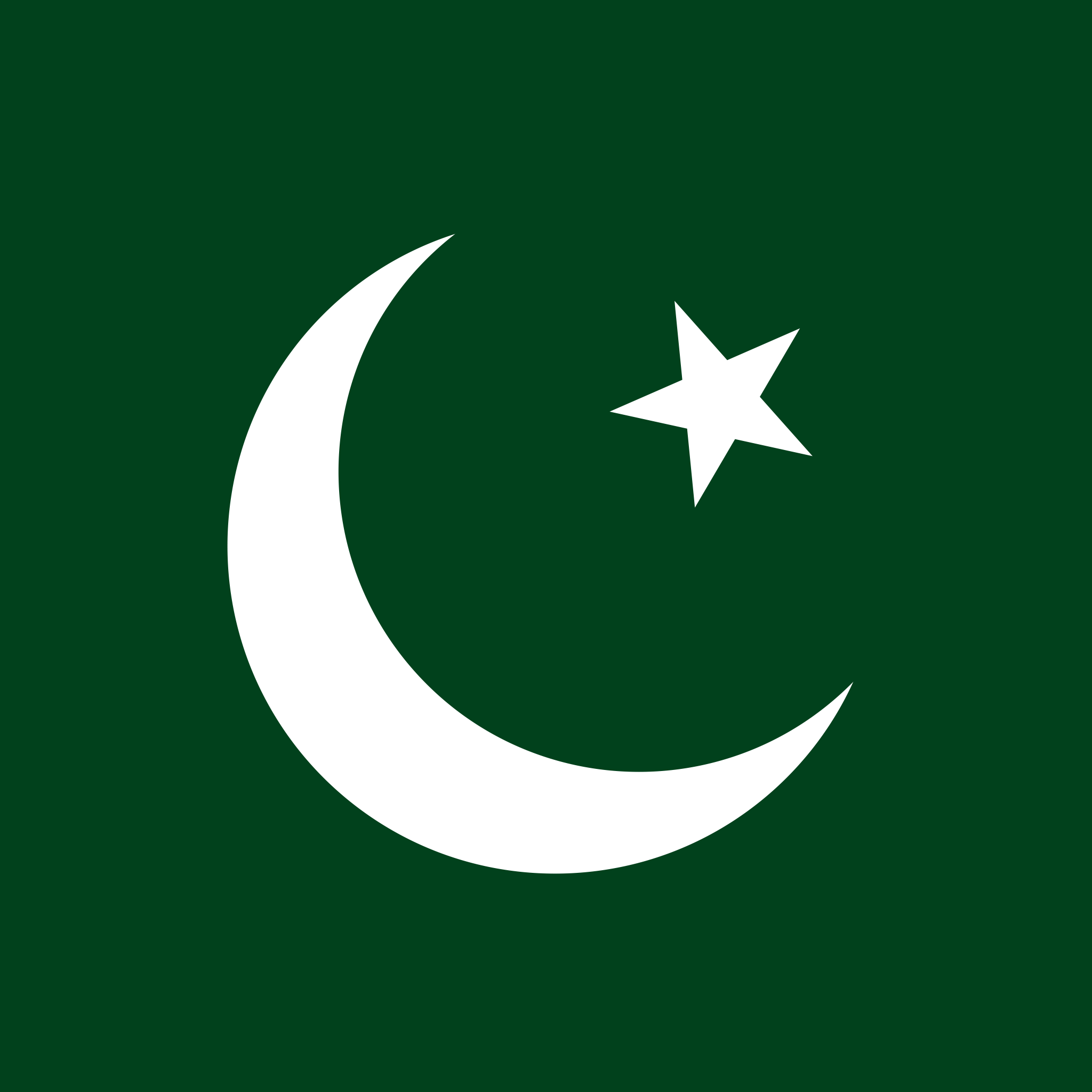 Pakistan Flag: Facts, History & Information | Bags of Flags