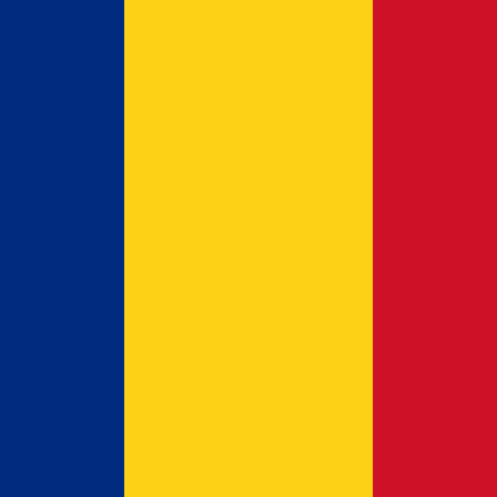 Romania Flag: Facts, History & Information | Bags of Flags