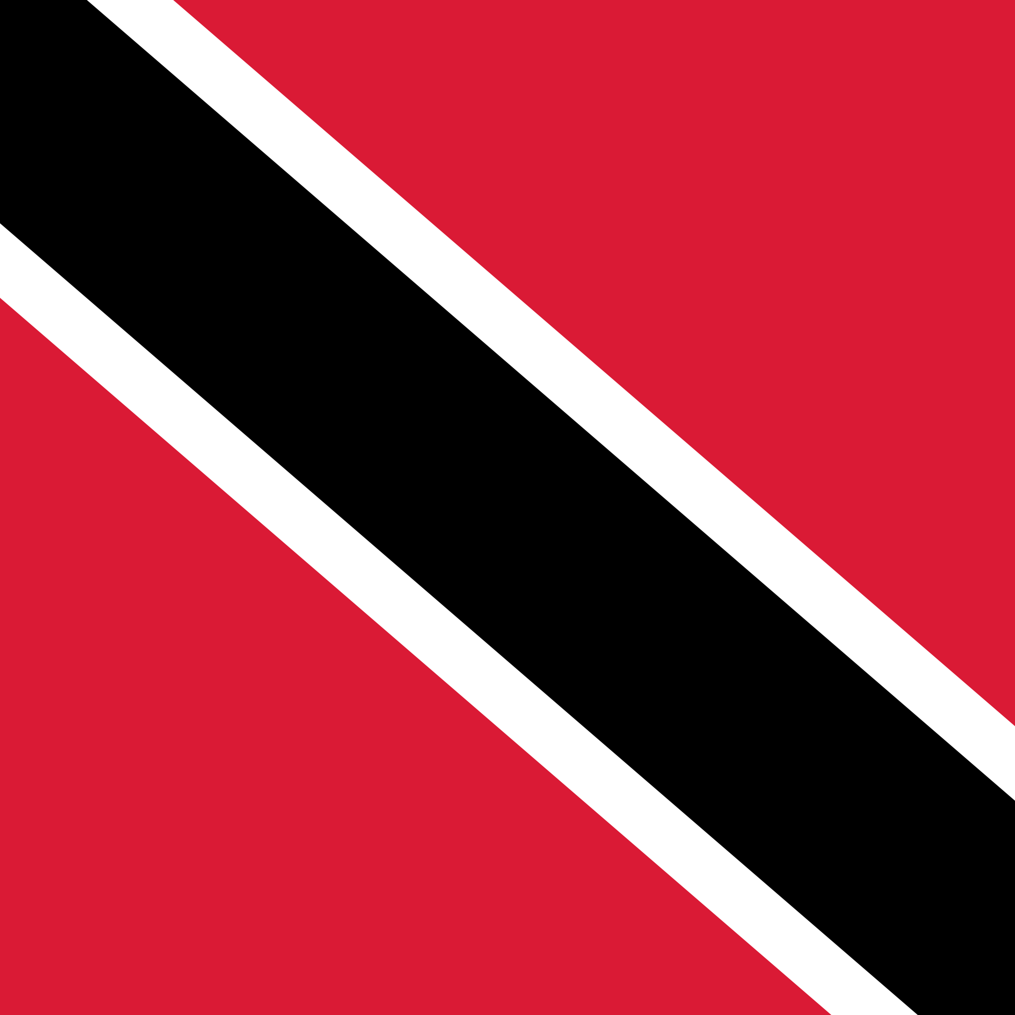 Trinidad and Tobago Flag: Facts, History & Information – Bags of Flags
