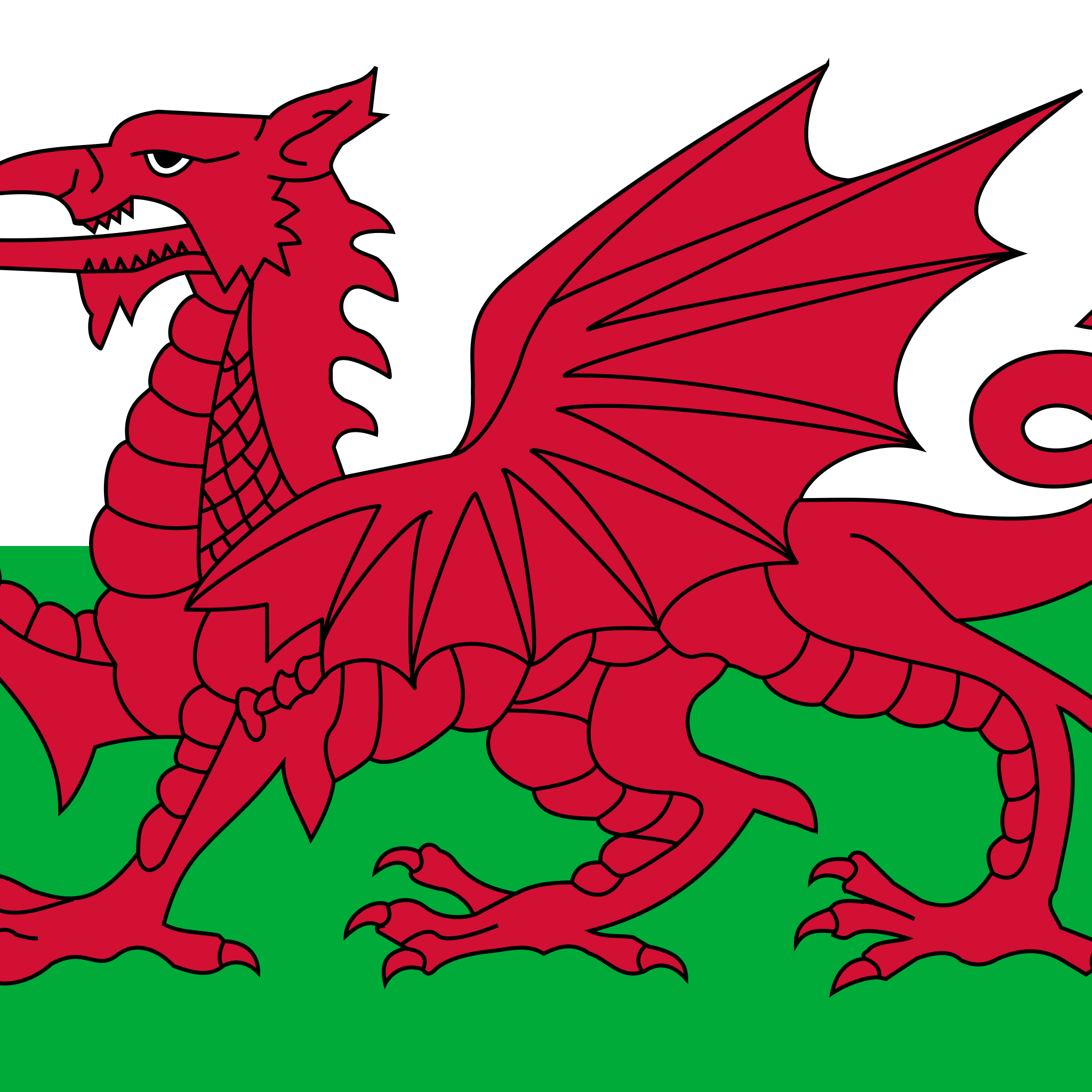 Wales Flags: Facts, History & Information | Bags of Flags